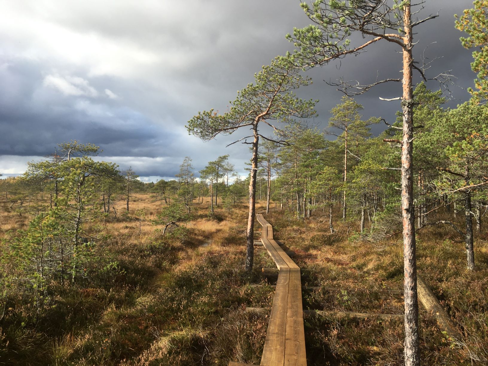Torronsuo National Park, Finland's deepest bog