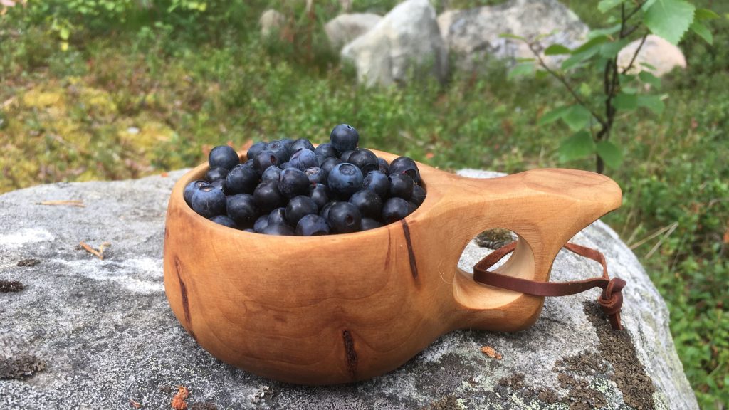 Food from the nature - luscious lingonberries - Out in the Nature