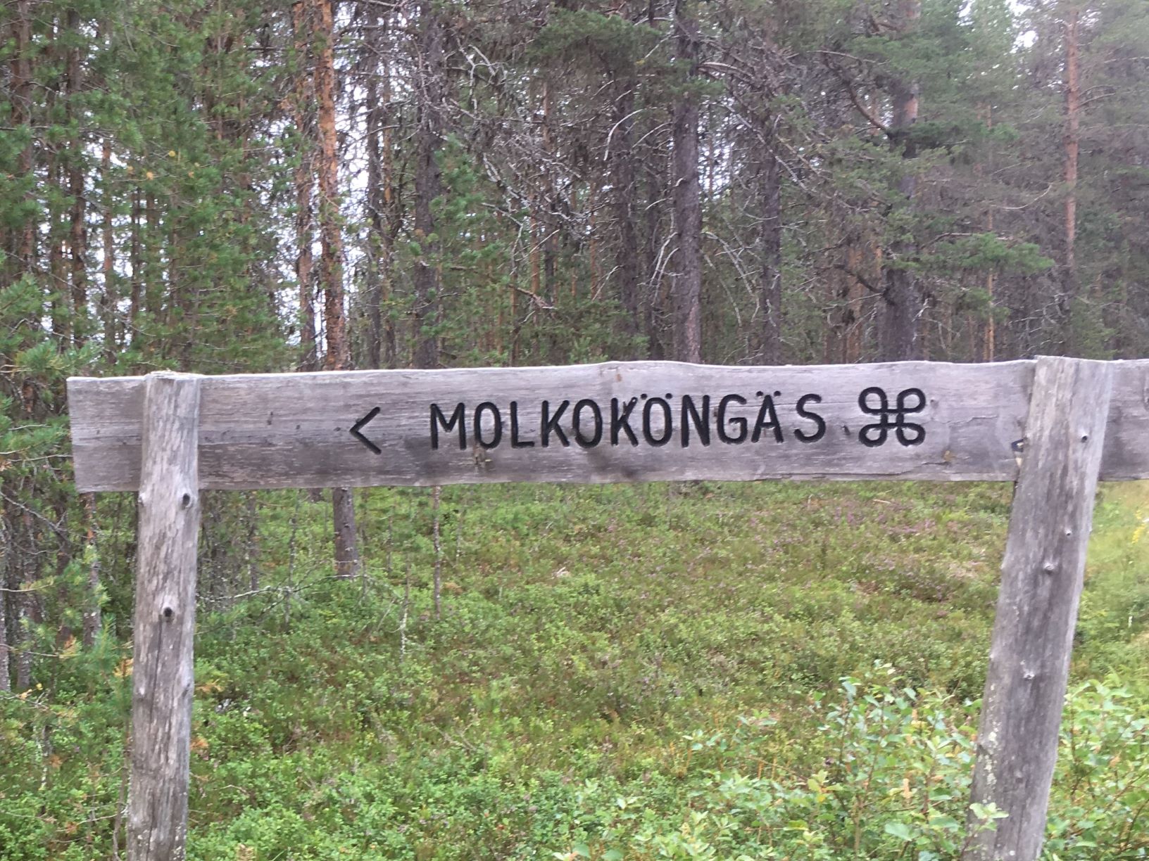 Molkoköngäs rapids in Ounasjoki river - Out in the Nature