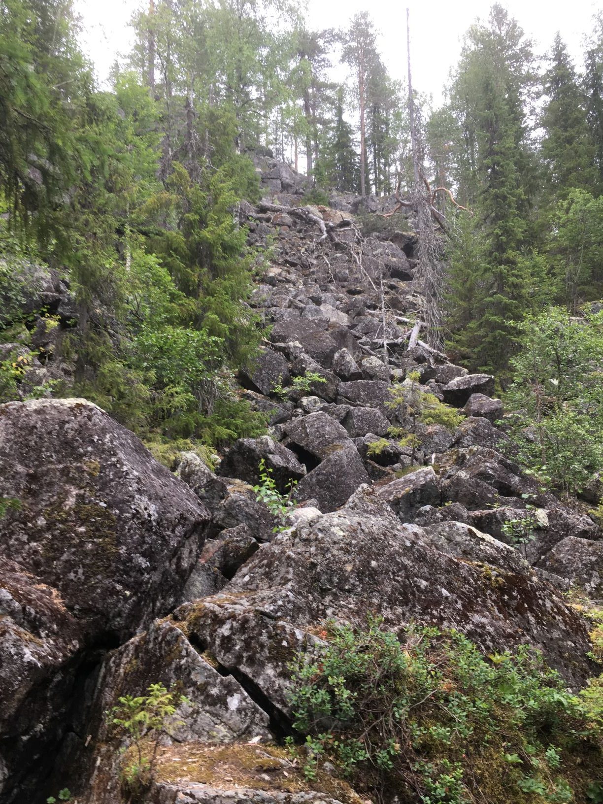 Vattukuru is a gorgeous ravine at Syöte National Park
