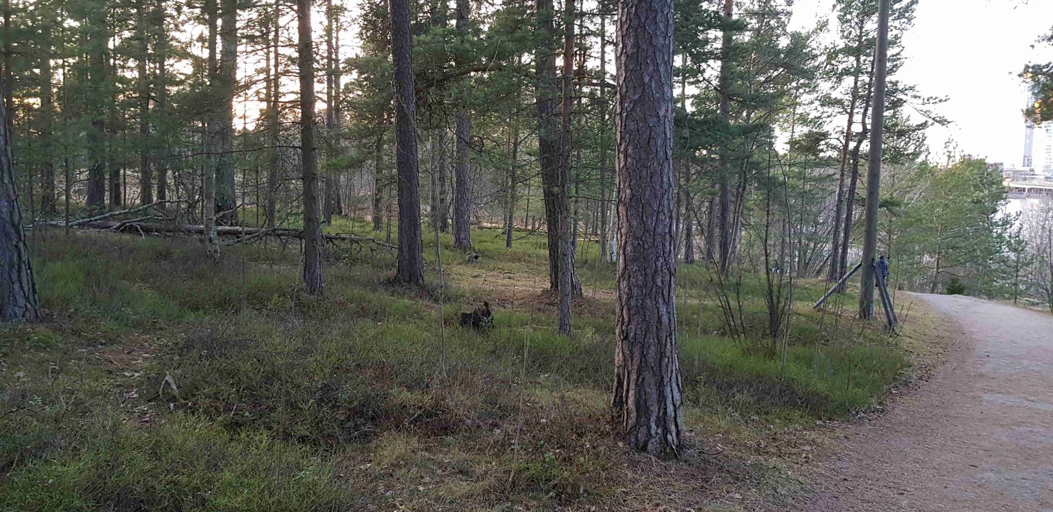 Mustikkamaa - a recreational park at the heart of Helsinki