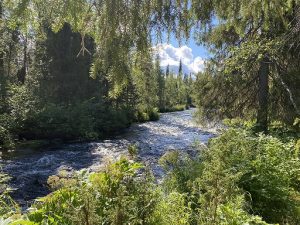 Astonishing Äkässaivo on Saivonkierros nature trail in Muonio