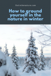 How to ground yourself in the nature in winter