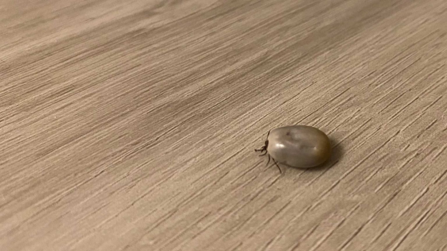 Out in the Nature - Explore the nature of Finland