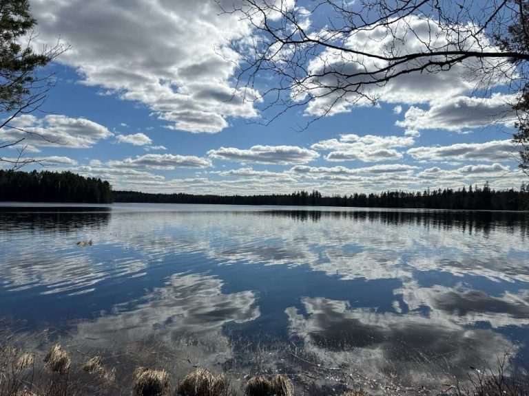 Signs of spring at Punatulkku and Pohjantikka trails in Liesjärvi