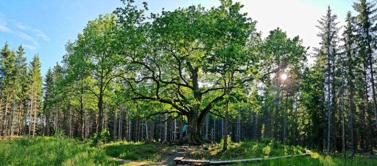 Finland's most viral nature destinations to visit now in June