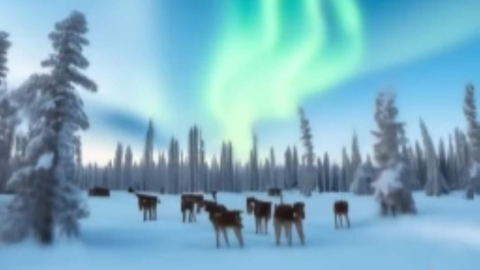 Out in the Nature Quiz - Can you match the autumn leaves to the trees?