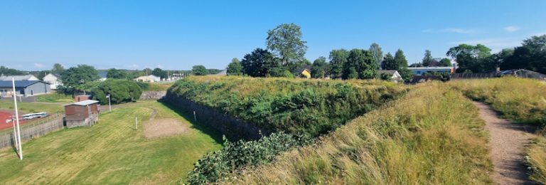 Out in the Nature - Explore the nature of Finland